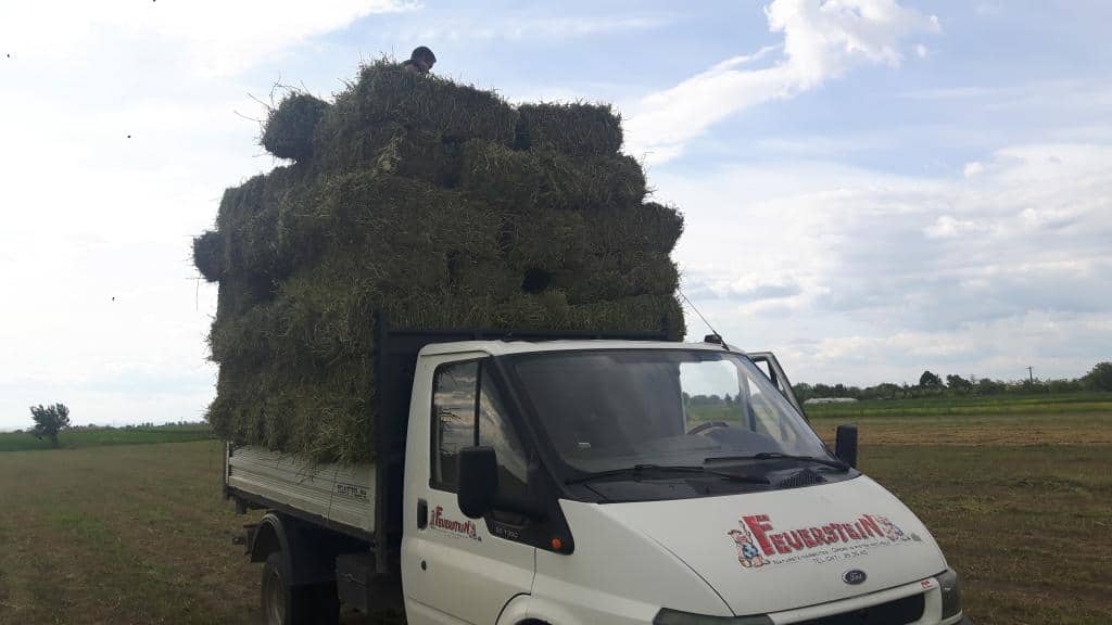 Vand baloti de lucerna - Mica Publicitate