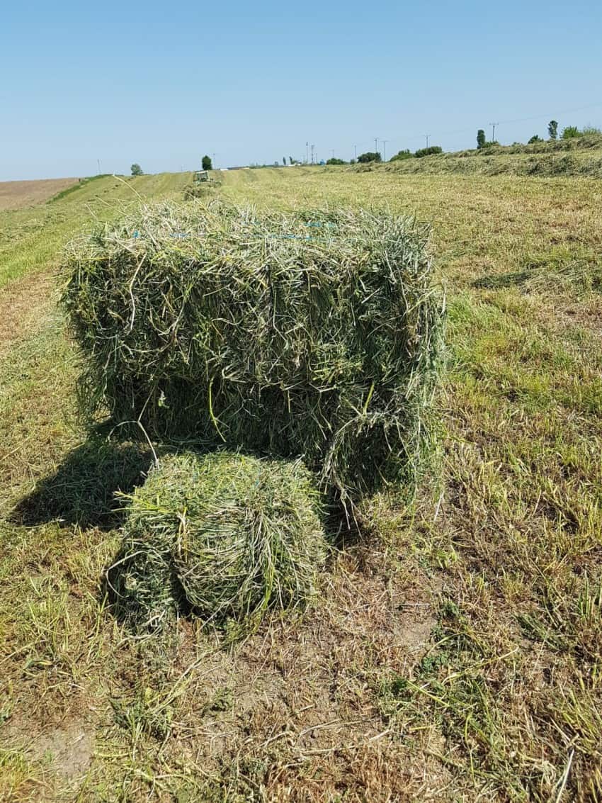 VAND BALOTI DE LUCERNA din 2018, ️ Mica Publicitate